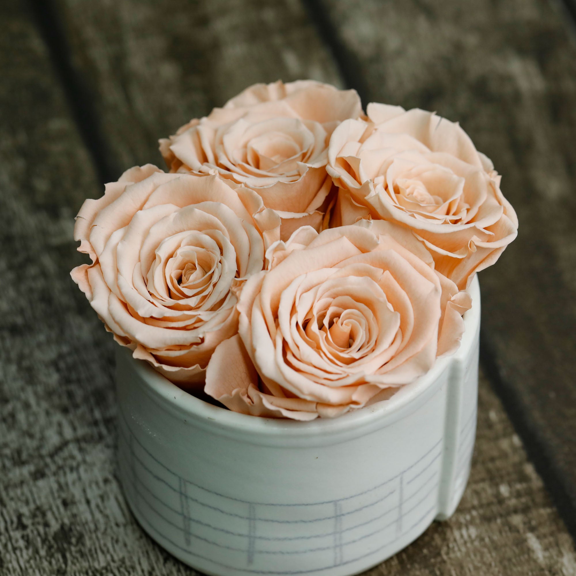 Roses naturelles stabilisées pêche nude (par 6)