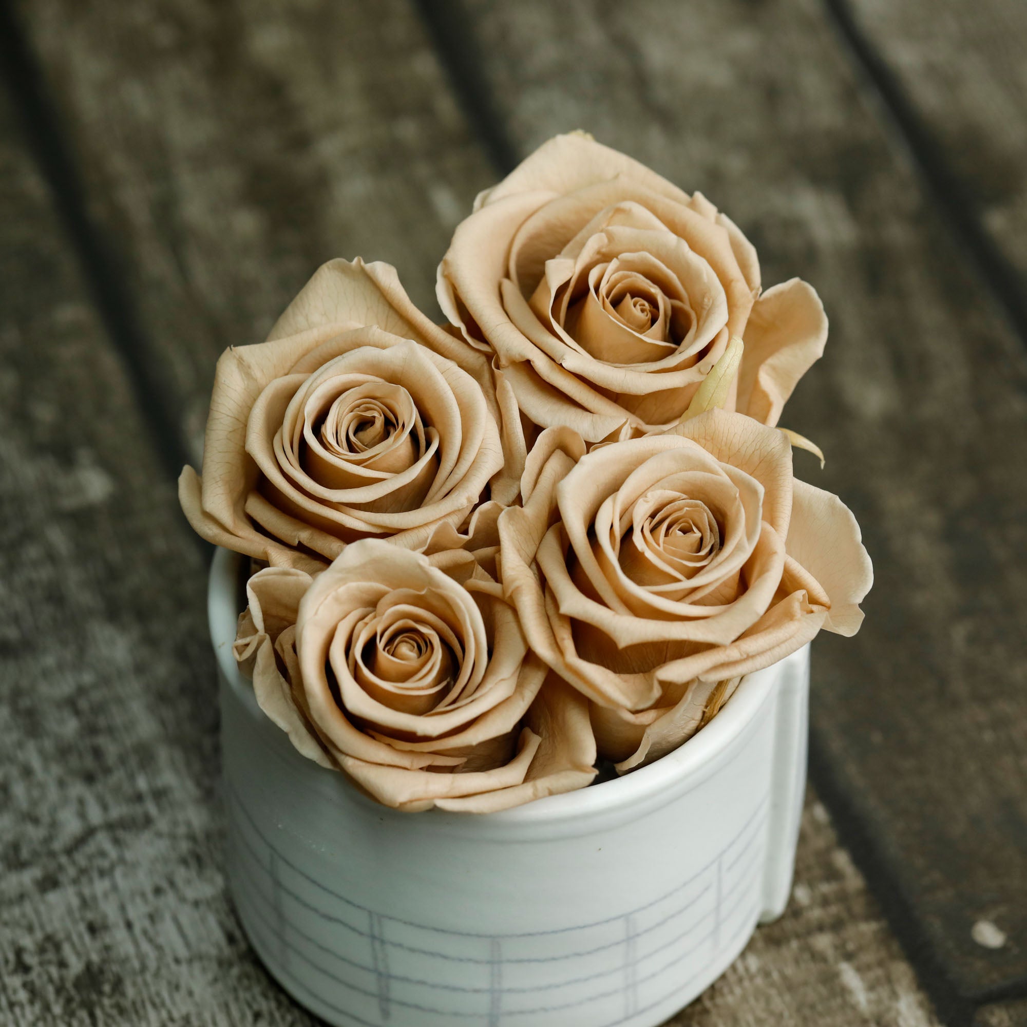 Roses naturelles stabilisées toffee (par 6)