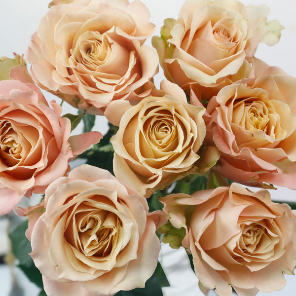 Roses Quicksand (10 tiges) - Atelier Rose Pivoine